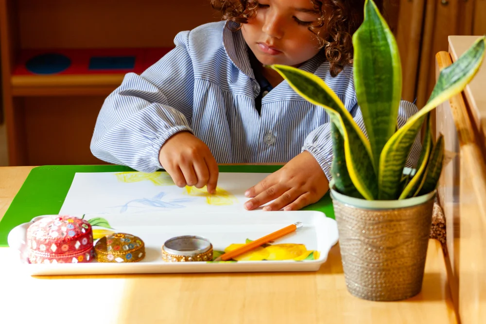 AMI Standards | Enhance Montessori Learning Today — AMI/USA