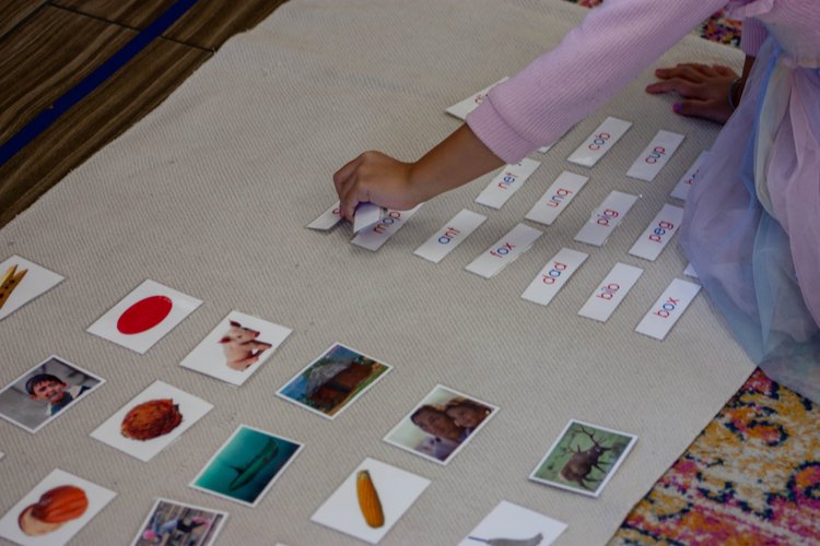 Why AMI Training? | Enhance Your Montessori Career Now — AMI/USA