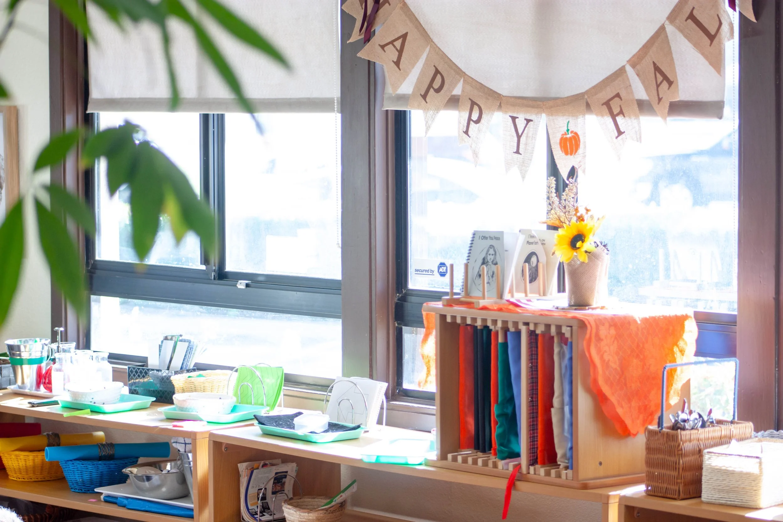 AMI Recognition Program | Discover and Save Montessori Schools — AMI/USA