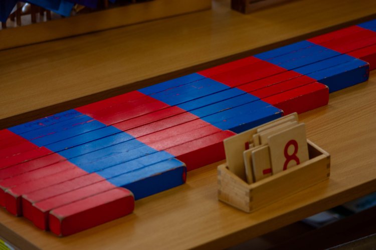AMI Standards | Enhance Montessori Learning Today — AMI/USA