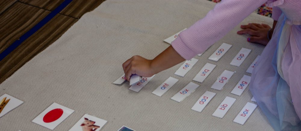 AMI Recognition Program | Discover and Save Montessori Schools — AMI/USA