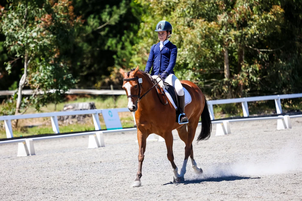 Calendar | Join Upcoming Events — Dressage Canterbury