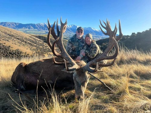 Gold Medal Red Stag | Discover and Book Your Hunt — New Zealand Trophy ...