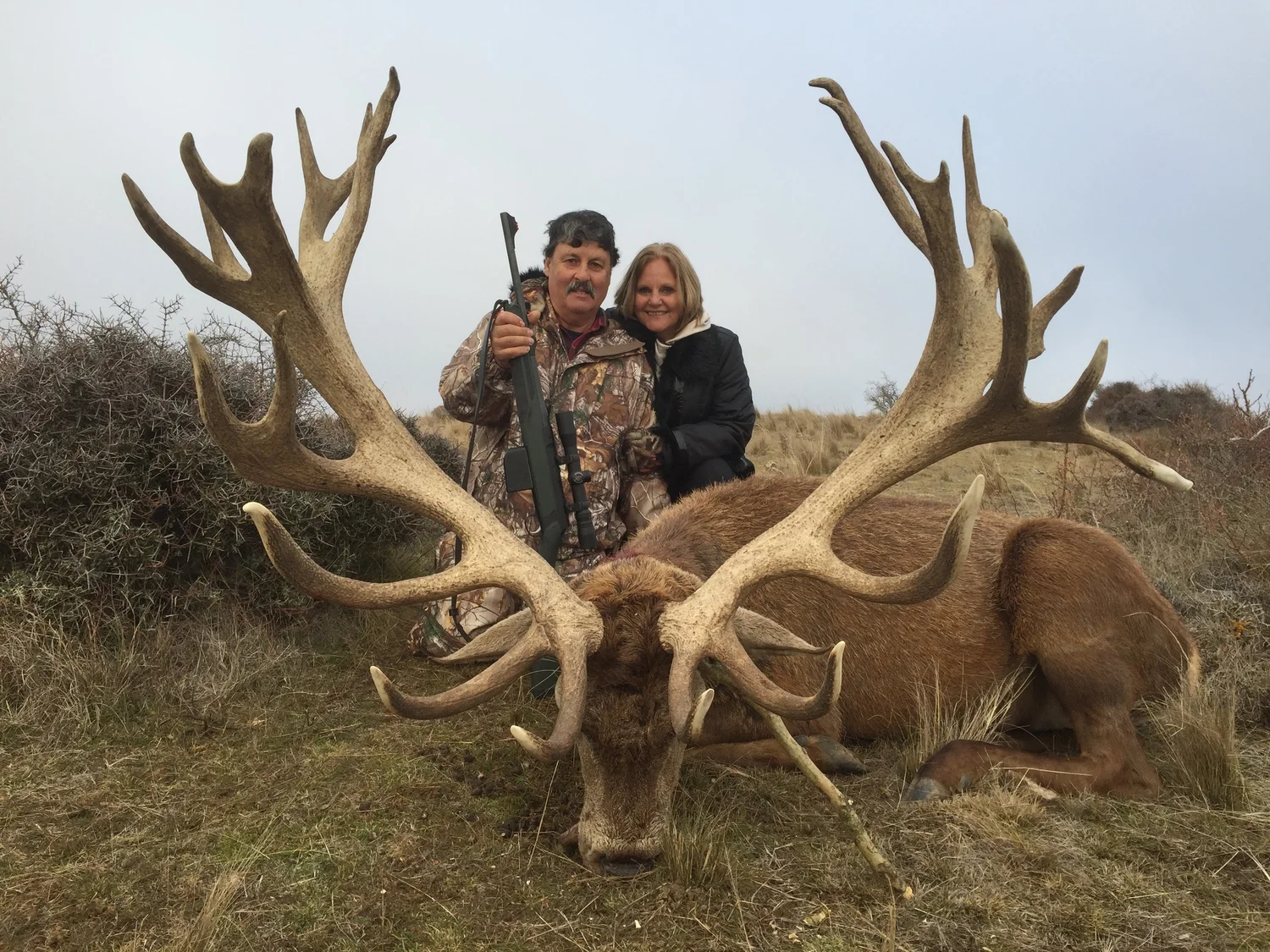 Silver Medal Red Stag | Discover Exceptional Hunting Opportunities ...