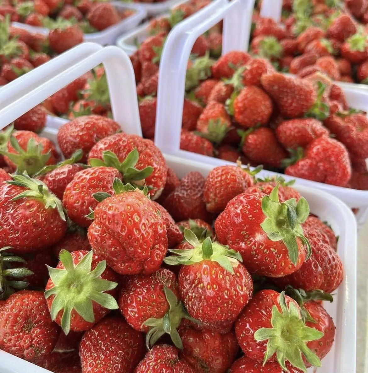 Lyon Farms