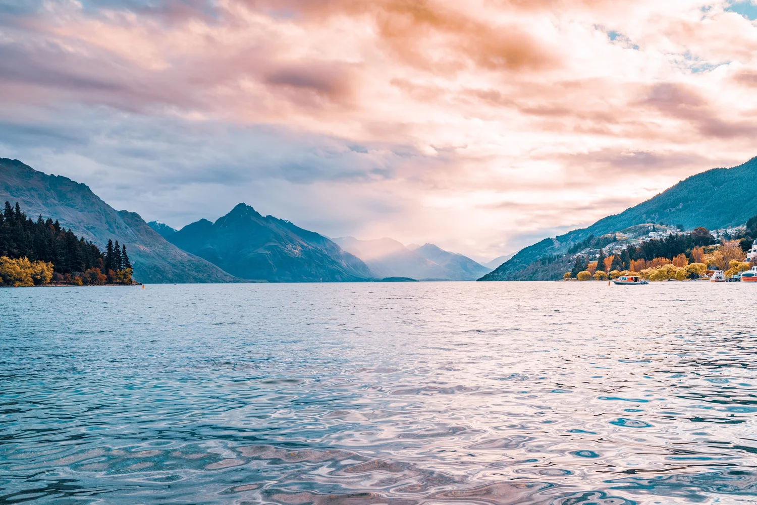 Managed by Williams Property Management in New Zealand
