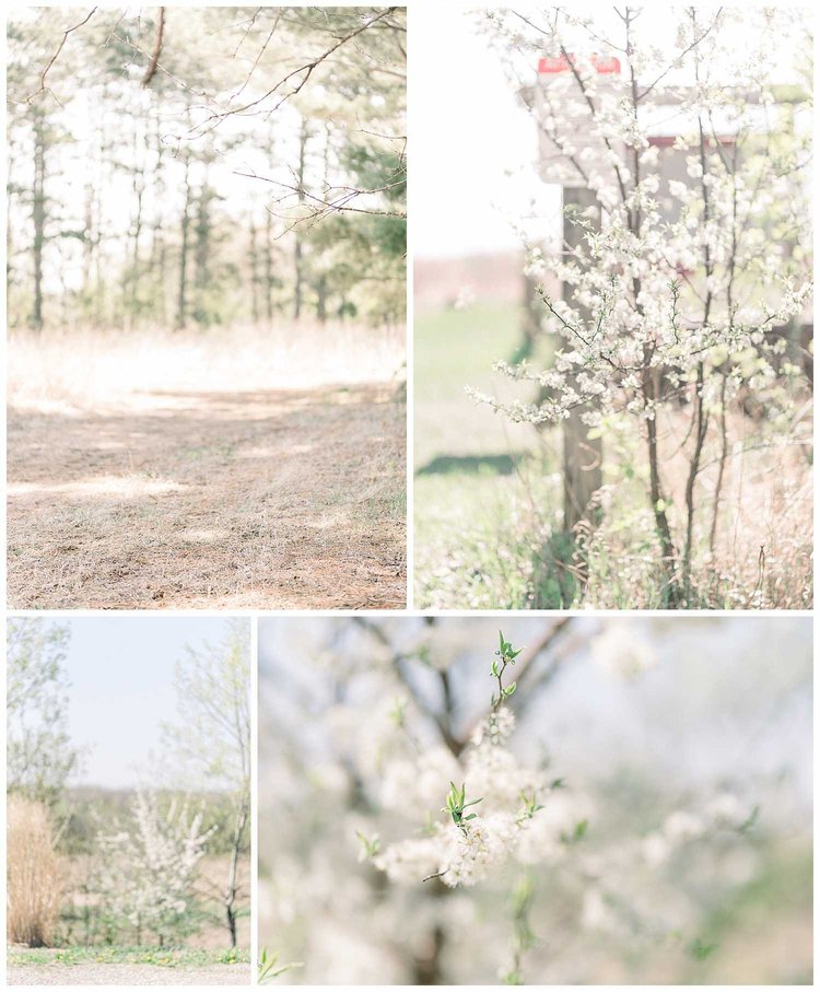 How to Photograph in Bright Sunlight: Tips for Harsh Light & Midday ...