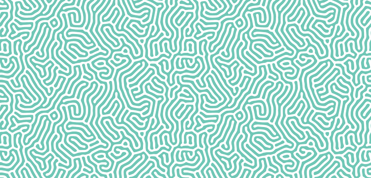 Hope for Reefs: Resilience — The Reef-World Foundation