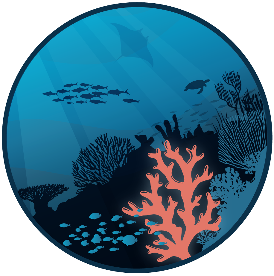 About Coral Reefs | Facts, ecosystems and biodiversity — The Reef-World ...