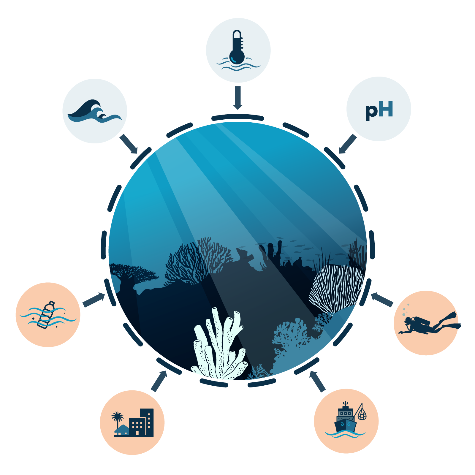 Coral Reef Threats: Climate Change, Pollution & Overfishing — The Reef ...
