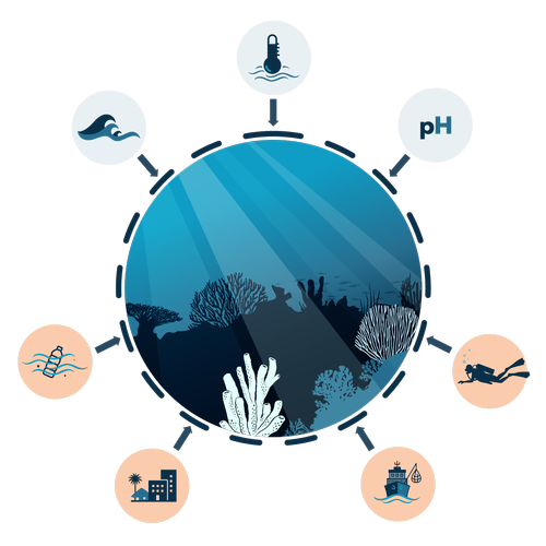 Coral Reef Threats: Climate Change, Pollution & Overfishing — The Reef ...