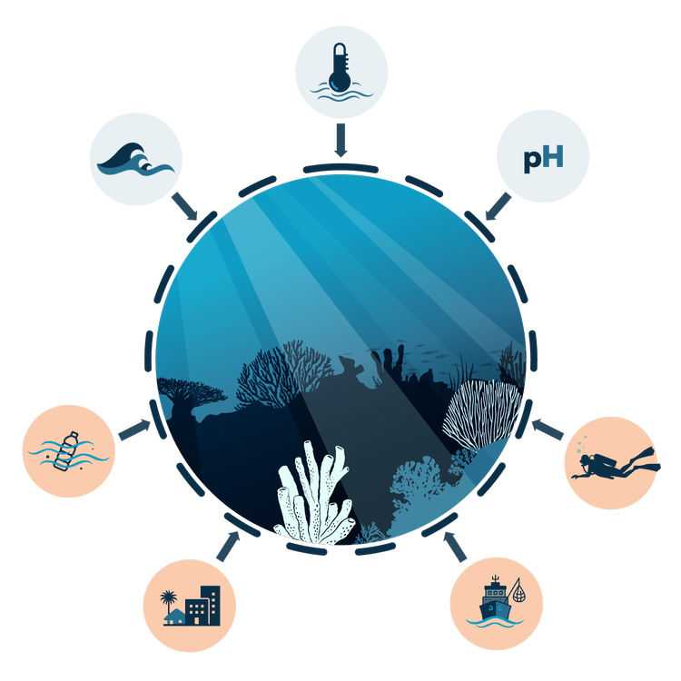 Coral Reef Threats: Climate Change, Pollution & Overfishing — The Reef ...
