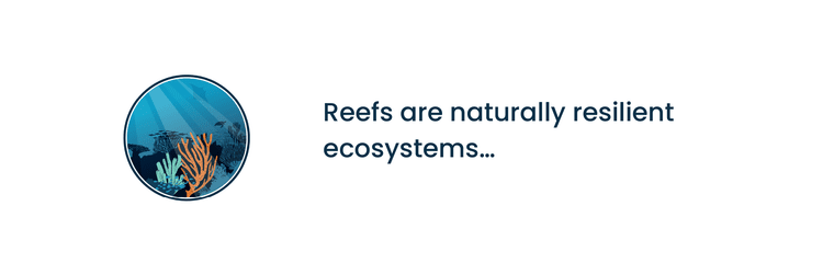Hope for Reefs: Resilience — The Reef-World Foundation