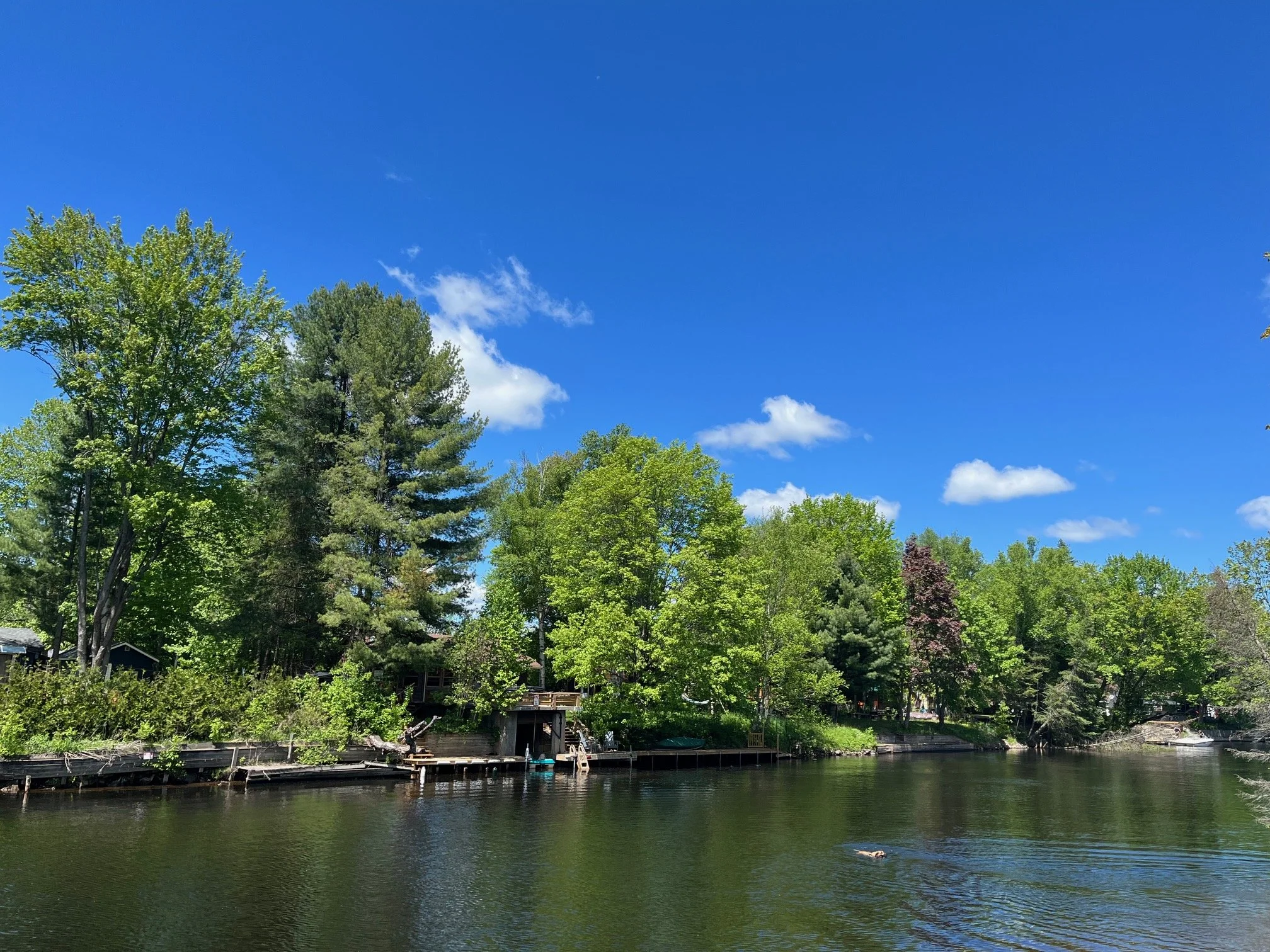 Log Chateau Park | Family Camping in Kawartha Lakes