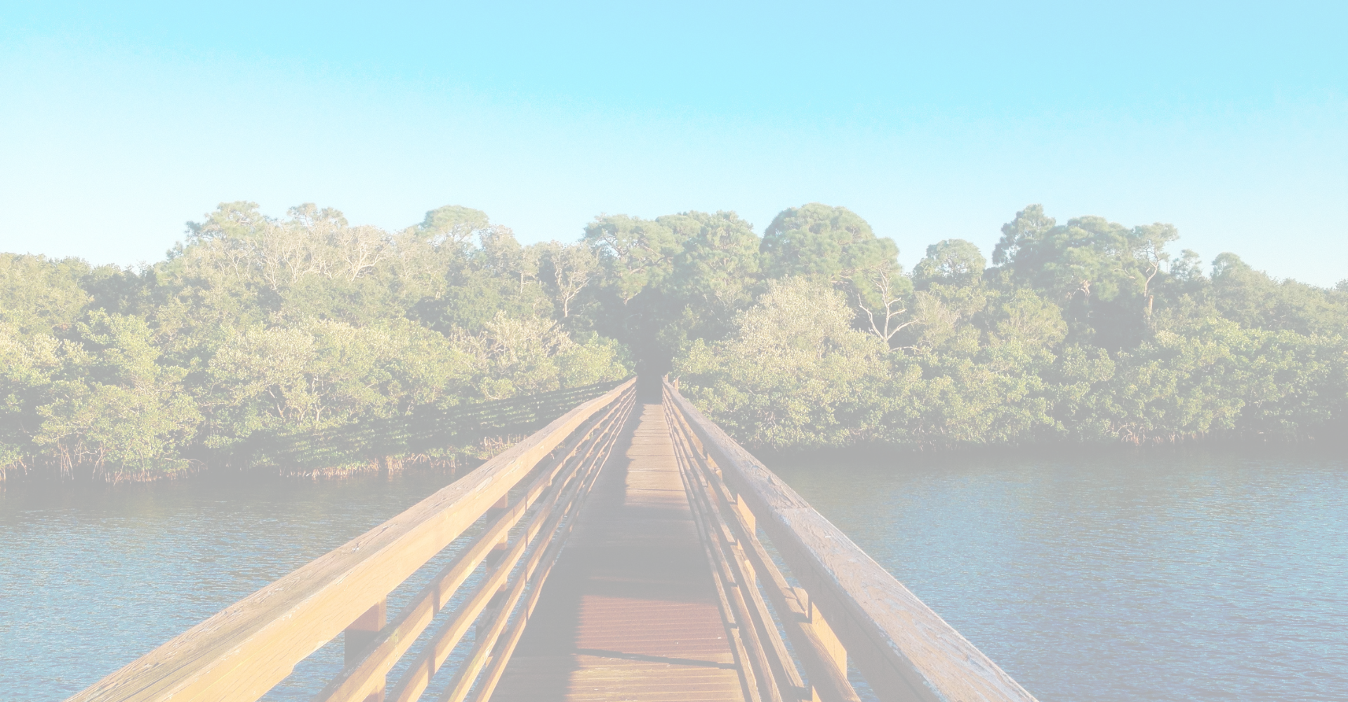 Benefit Bridge — Ohio Means Jobs Licking County