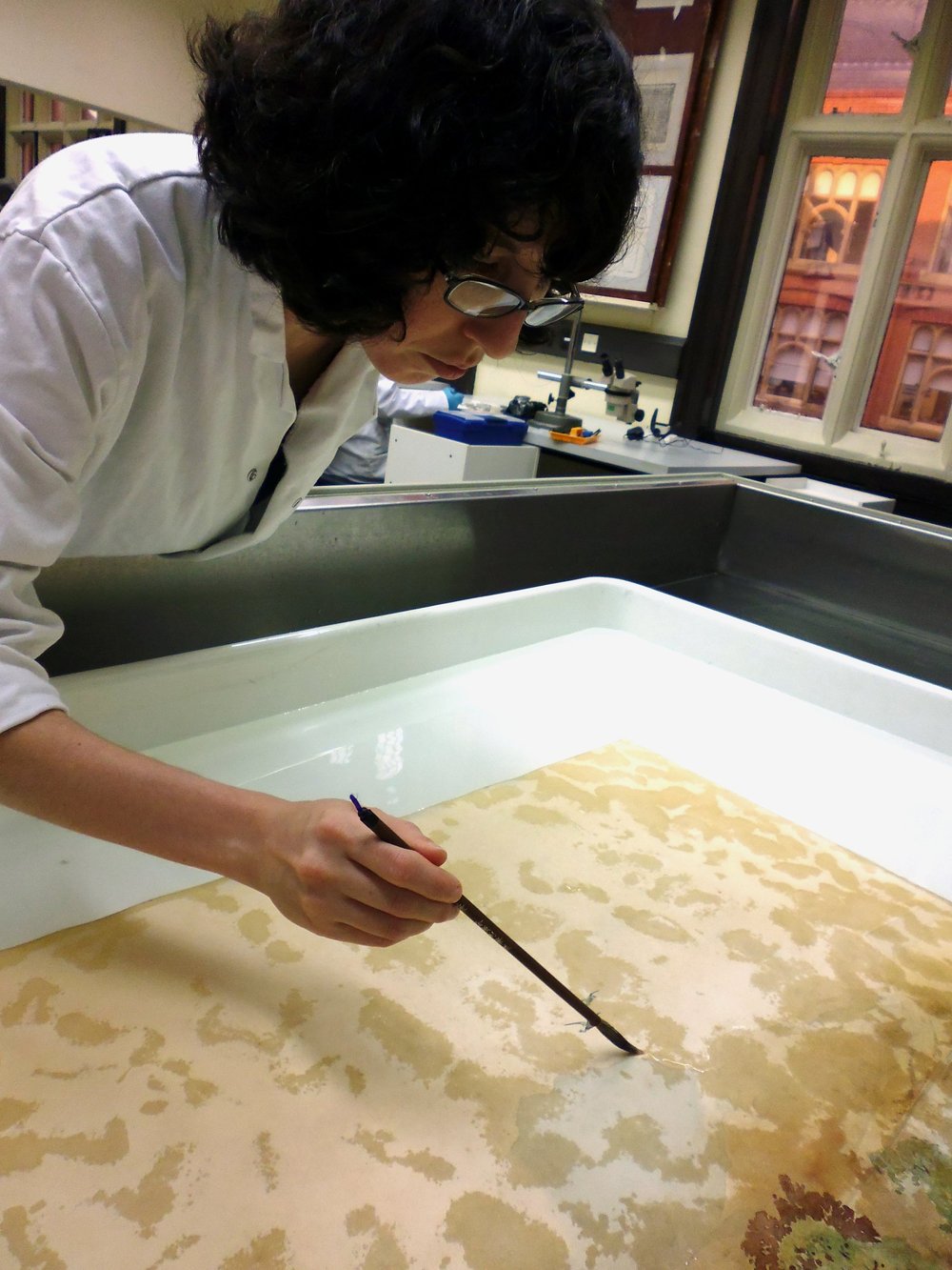 About — Portland Paper Conservation LLC