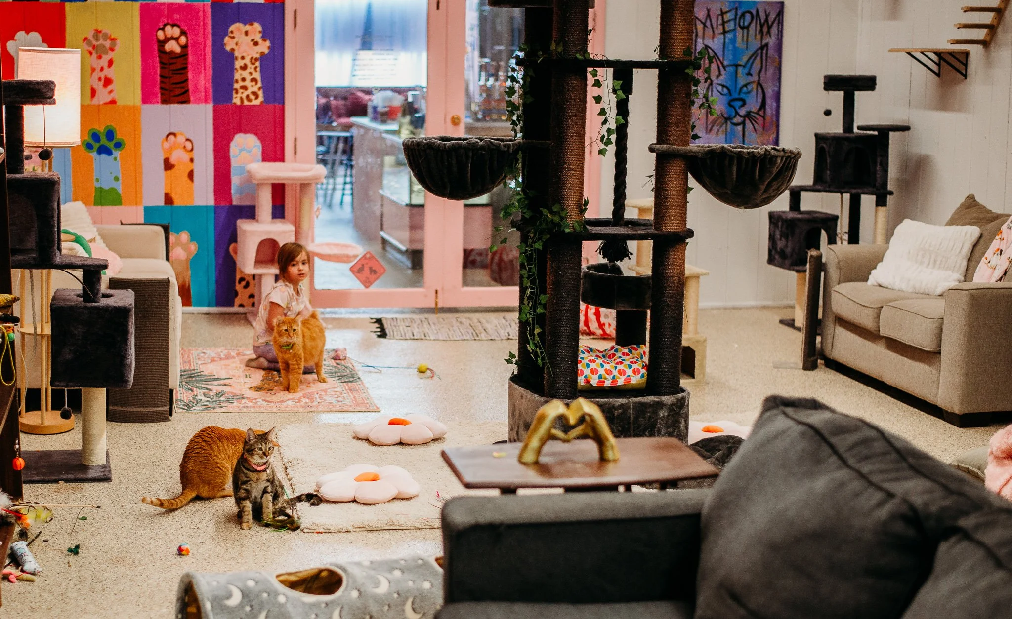 Meow & Mocha Cat Cafe