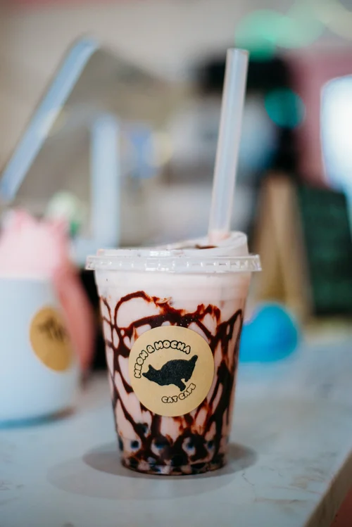 Meow & Mocha Cat Cafe