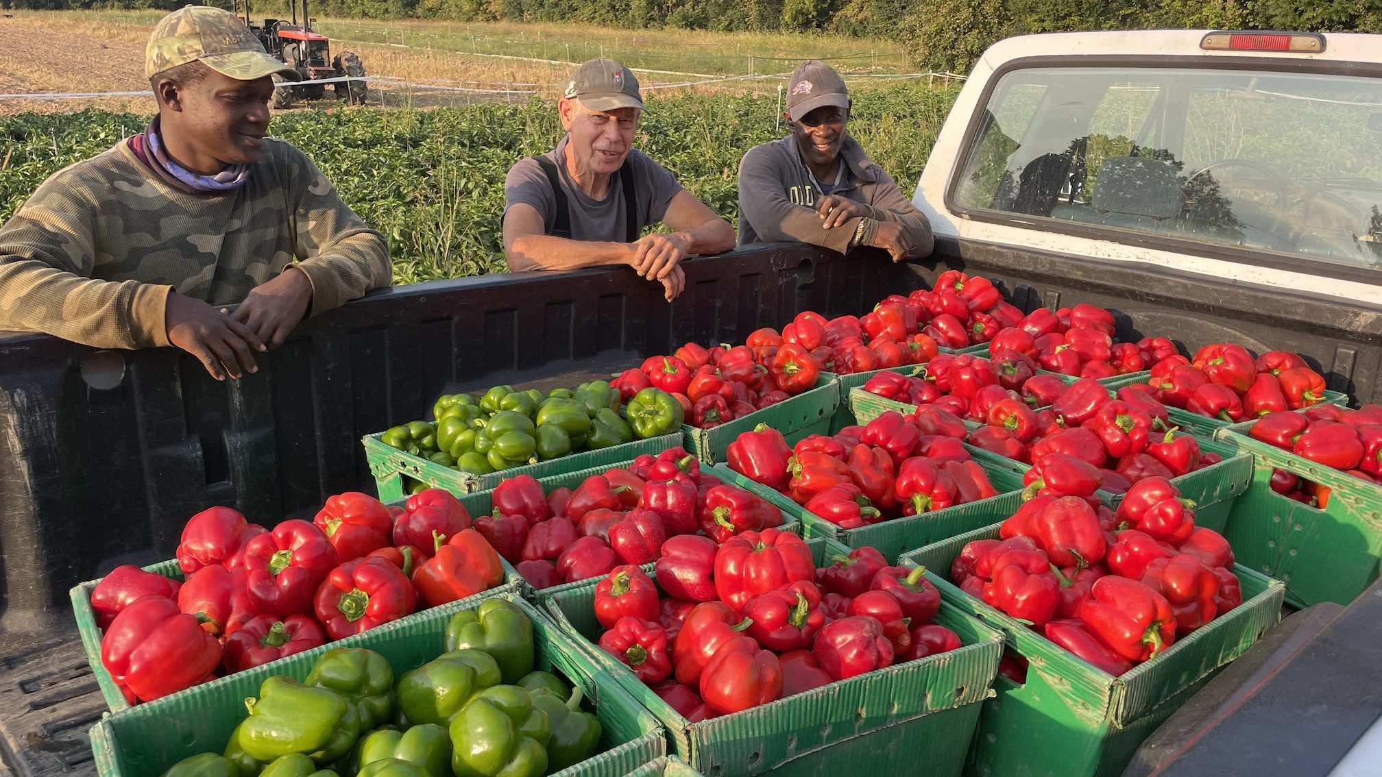 Pomykala Vegetable Farm
