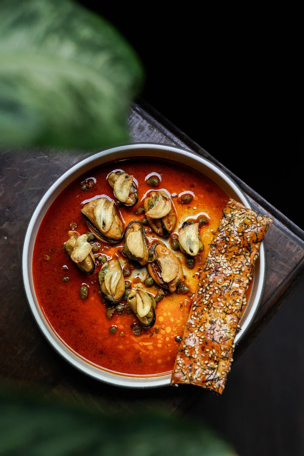 Fawn Wine & Amaro Bar