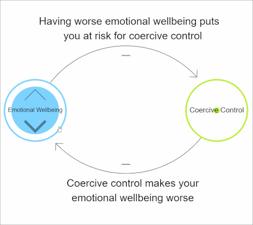 The relationship between coercive control and mental health ...