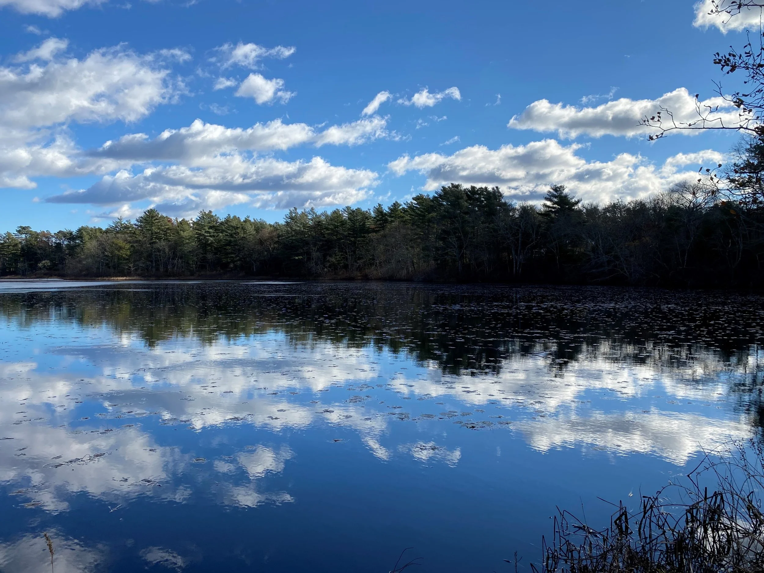 Wildlands Trust — Great Neck Conservation Area