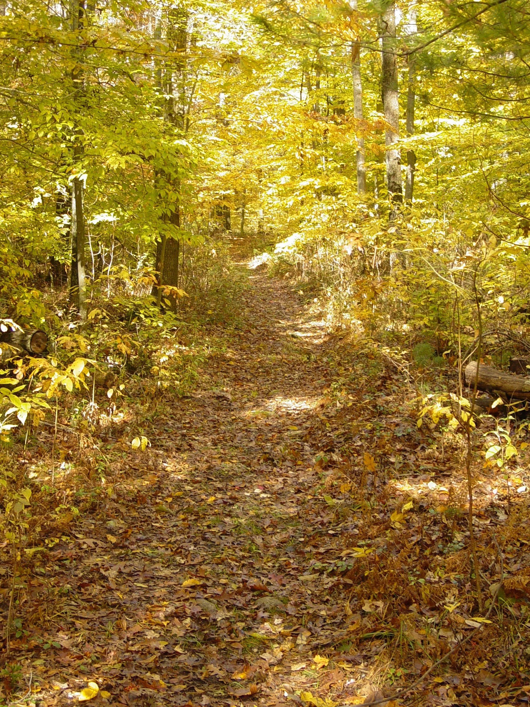 Wildlands Trust — Phillips Farm Preserve