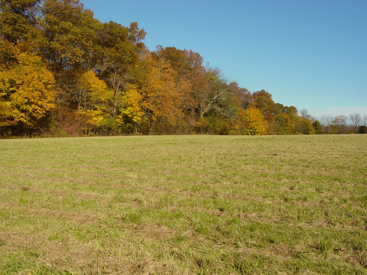Wildlands Trust — Phillips Farm Preserve