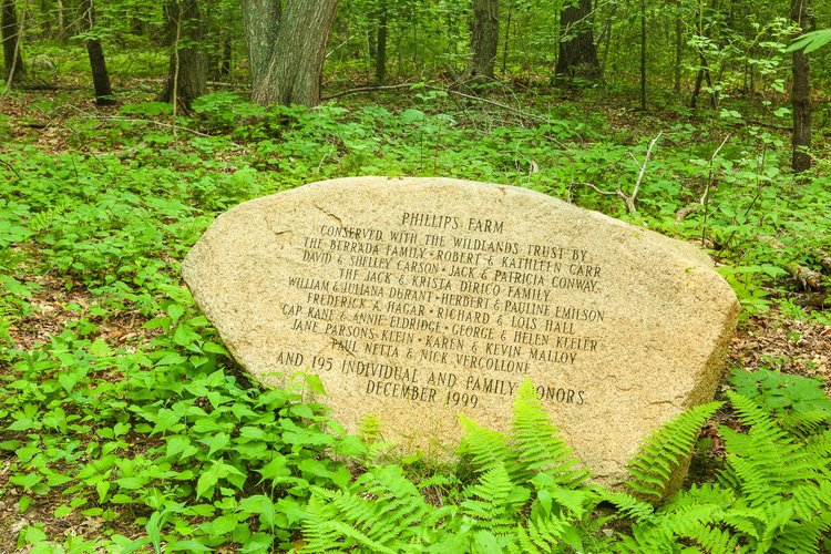Wildlands Trust — Phillips Farm Preserve