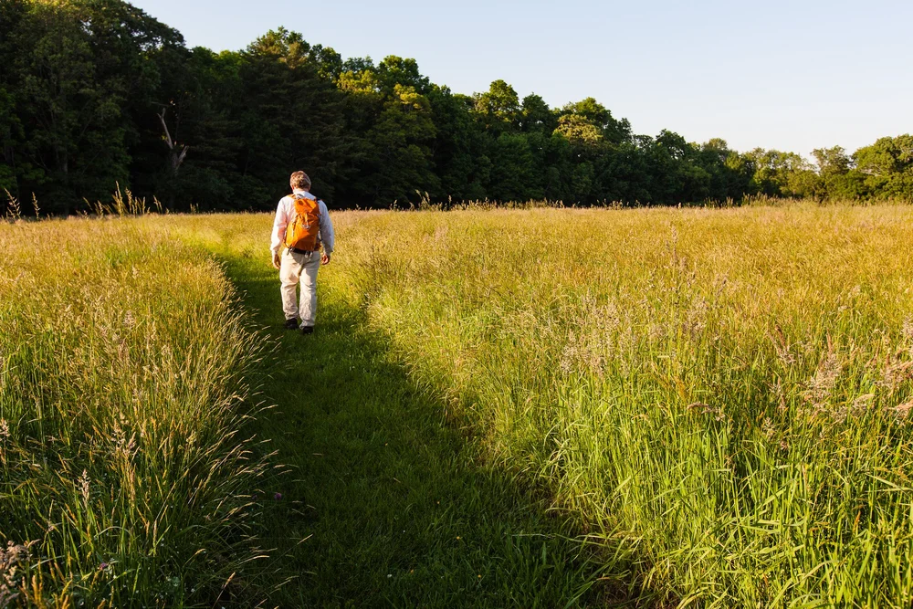 Wildlands Trust — Phillips Farm Preserve