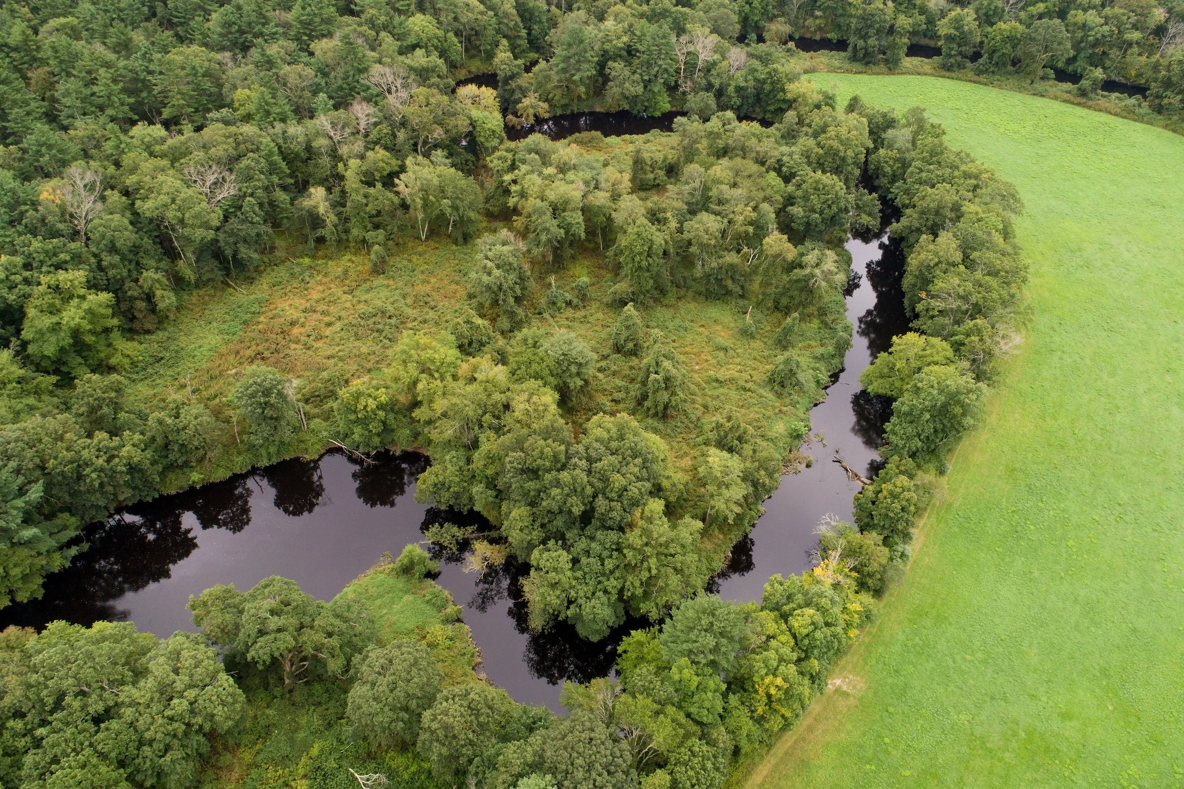 Wildlands Trust — Great River Preserve
