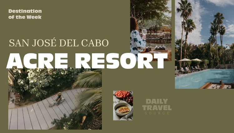 Jungle Luxury in Baja: Inside Acre Resort, San José del Cabo — Daily ...