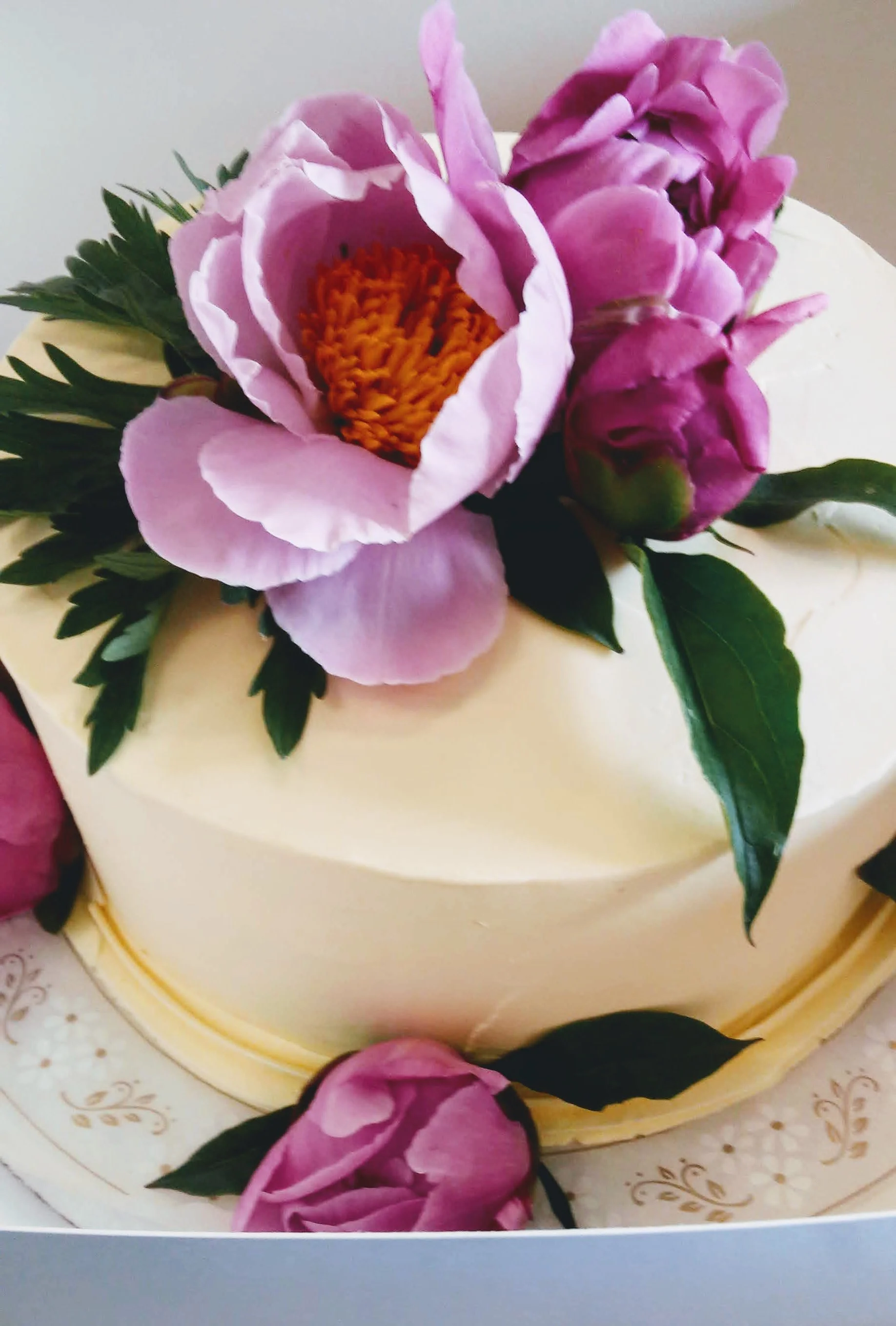 Honey Bee Bakery | Discover Boutique Baked Goods