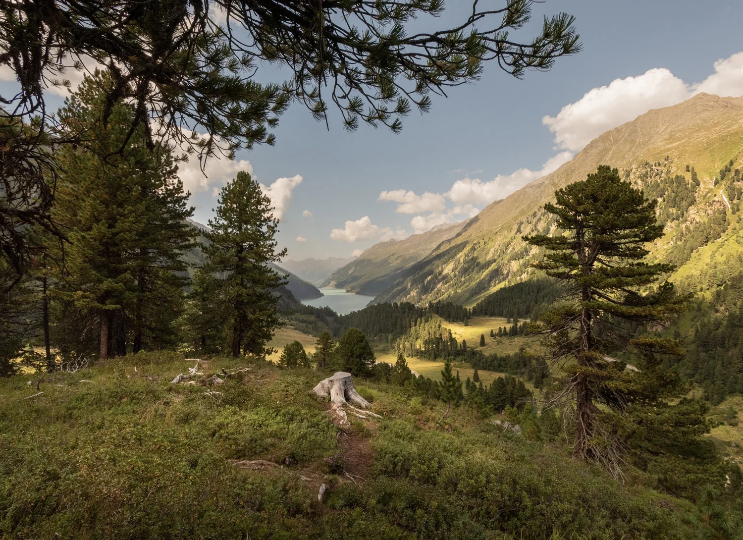 Architectural, Interior, Portrait & Landscape Photographer | Ivan Jones