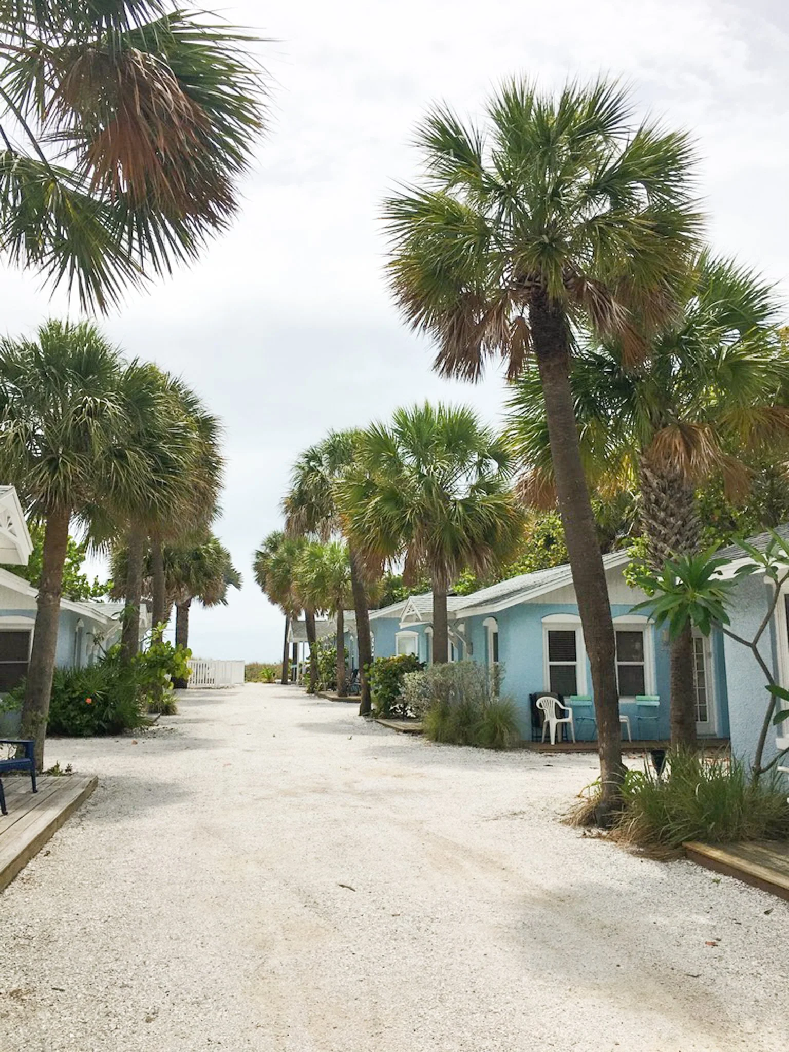 Blue Heron Cottages | Indian Rocks Beach, FL – Cozy, Comfort-Filled ...