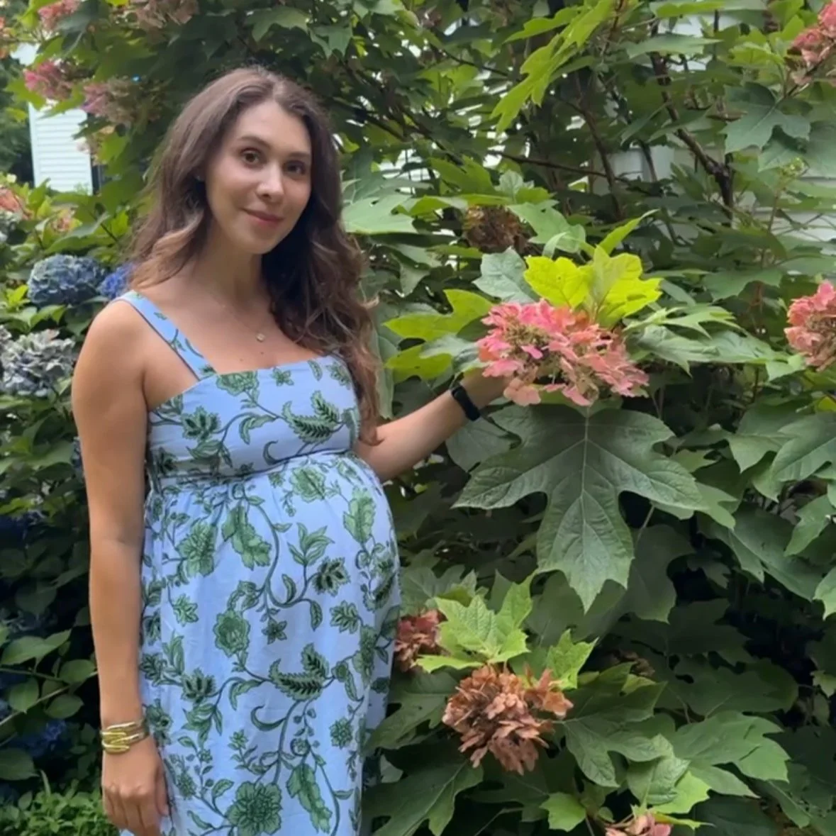 Best Hydrangea Varieties for Full Sun — Blueacre Garden