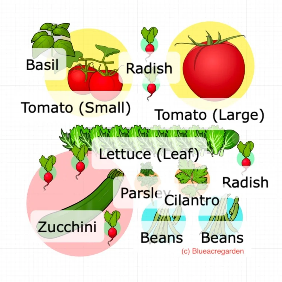 How to: Grow Your Own Victory Garden — Blueacre Garden