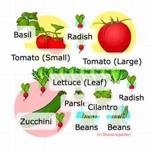 How to: Grow Your Own Victory Garden — Blueacre Garden