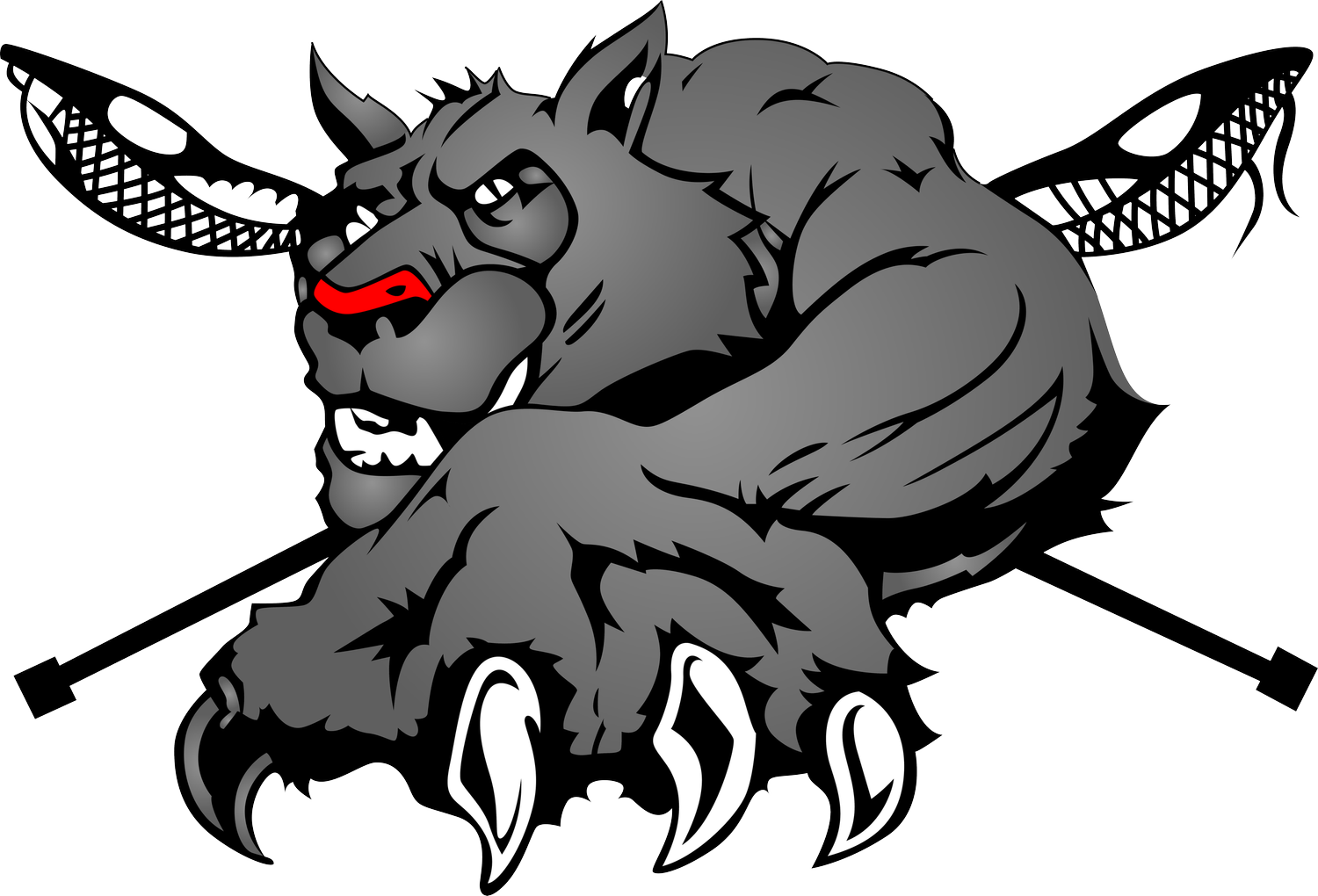 SIMCOE MINOR LACROSSE