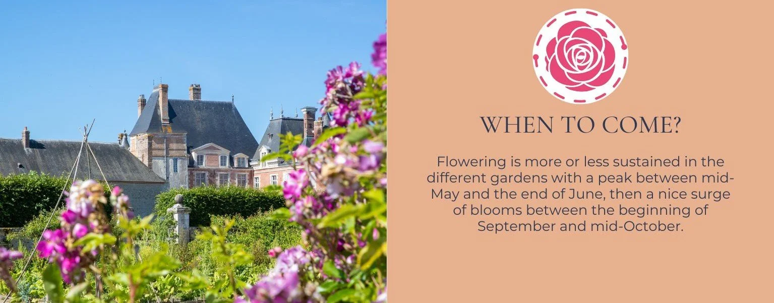 Route de la Rose: Exploring Loiret’s Historic Rose Journey — This ...