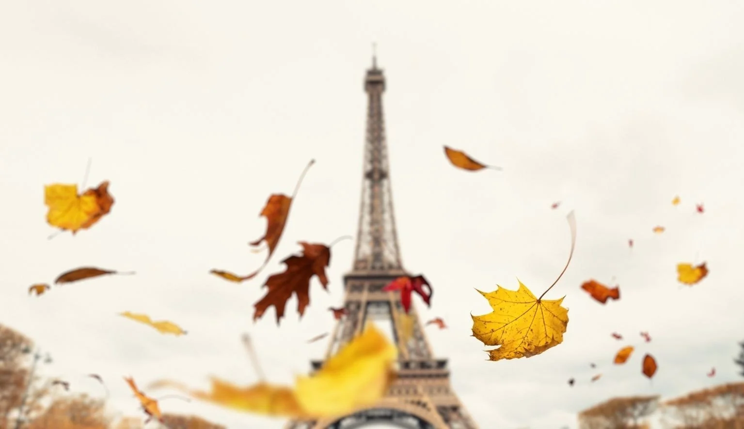 Barbara Pravi’s “Voilà”: A French Song That Moves the Soul — This ...