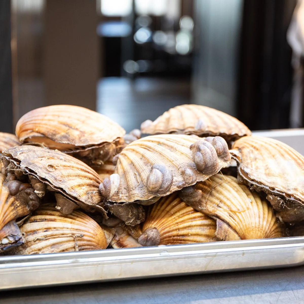 Simply Wild Restaurant