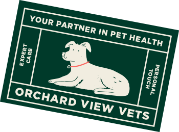 Veterinary Services Highnam | Pet Health Care — Orchard View Vets