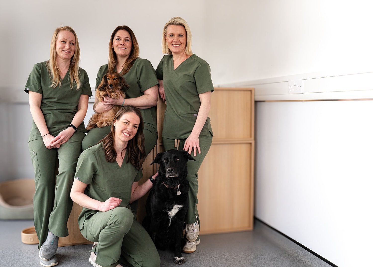 Orchard View Vets