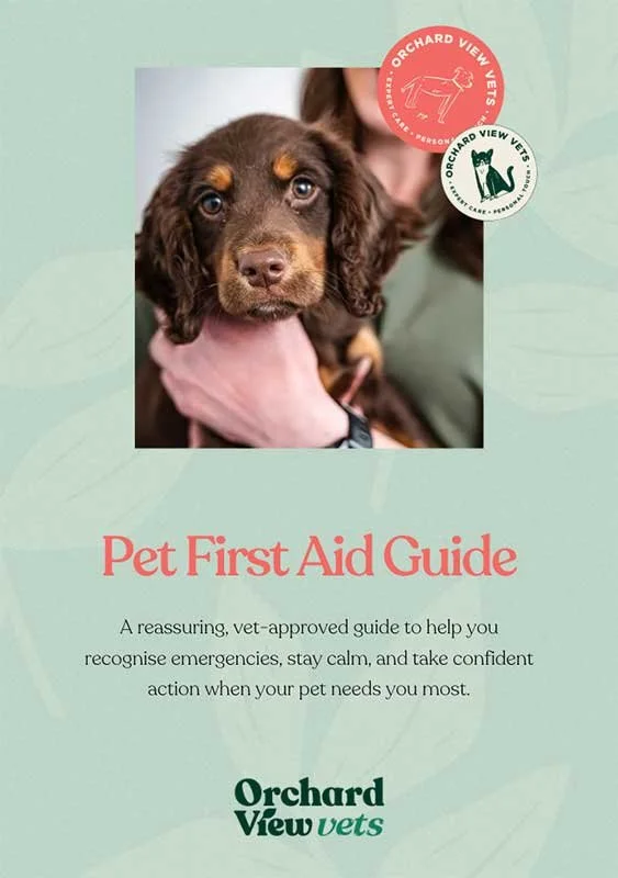 Free Pet First Aid Guide — Orchard View Vets