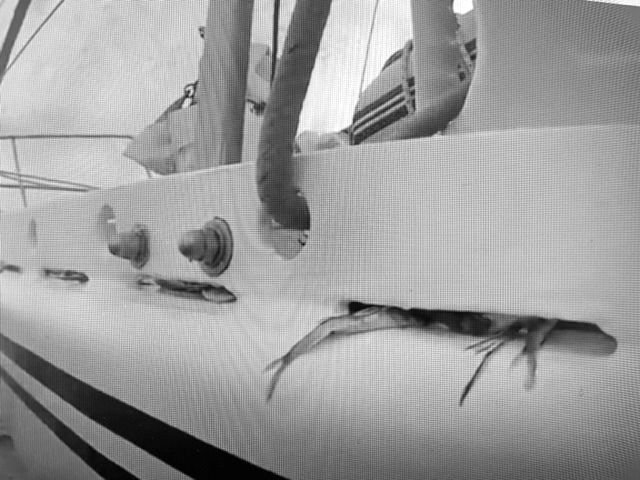 Barry Perrins - From Turntables to Ocean Adventurer | Alan Lawrie ARTS