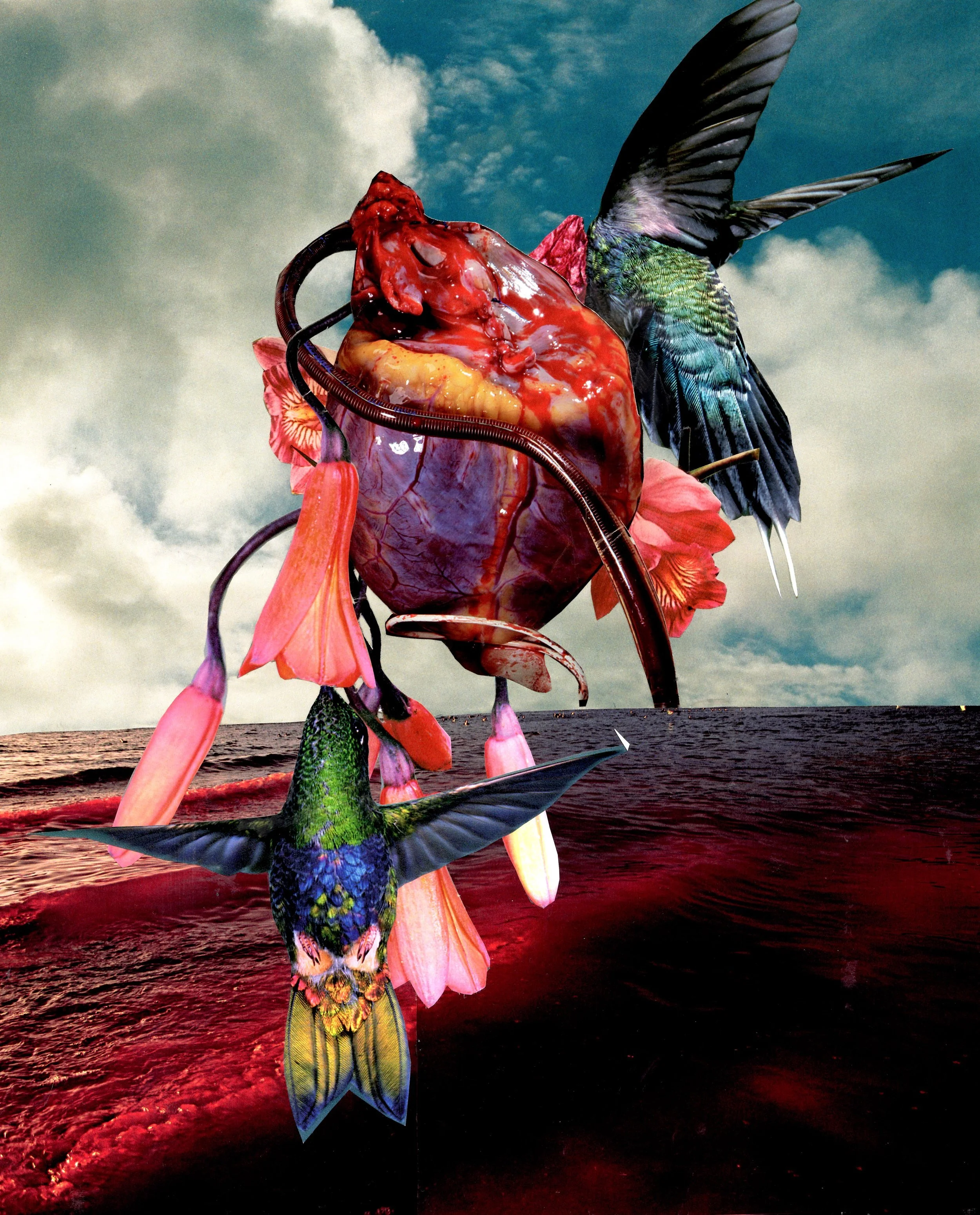 Agape by Jodie Day — BLACK FLOWERS