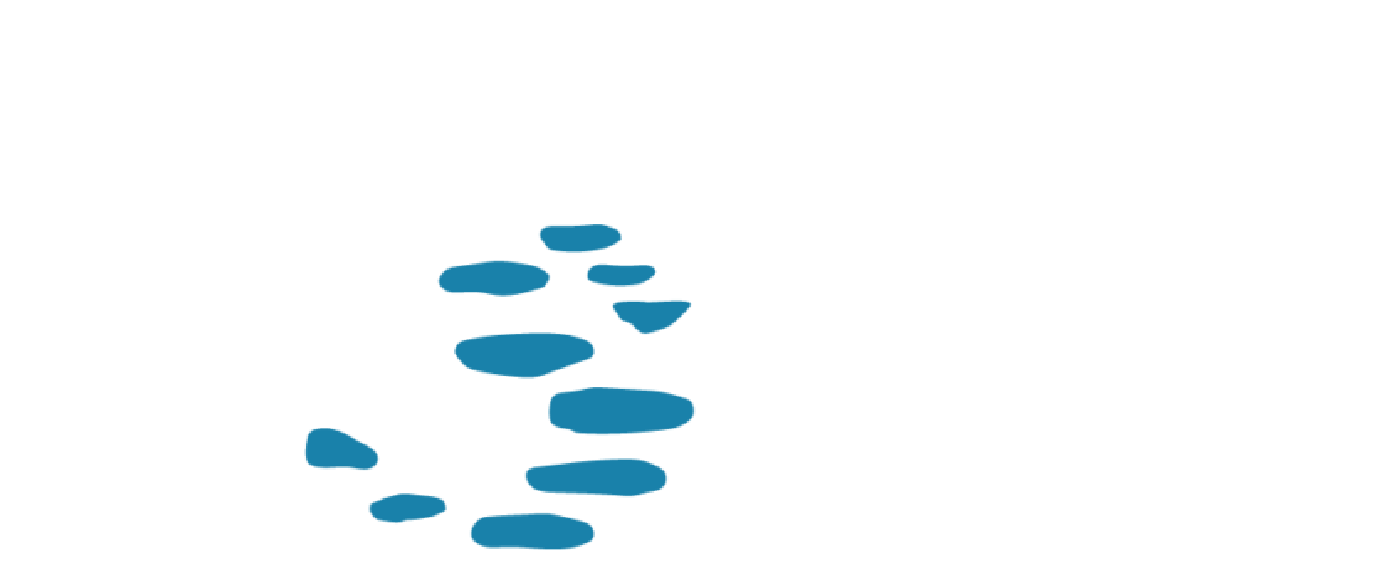 Stepstone Connect