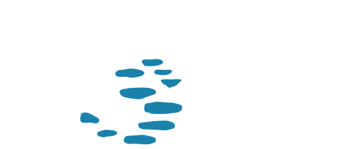 What Is IOP? IOP Meaning & Program Guide — StepStone Connect