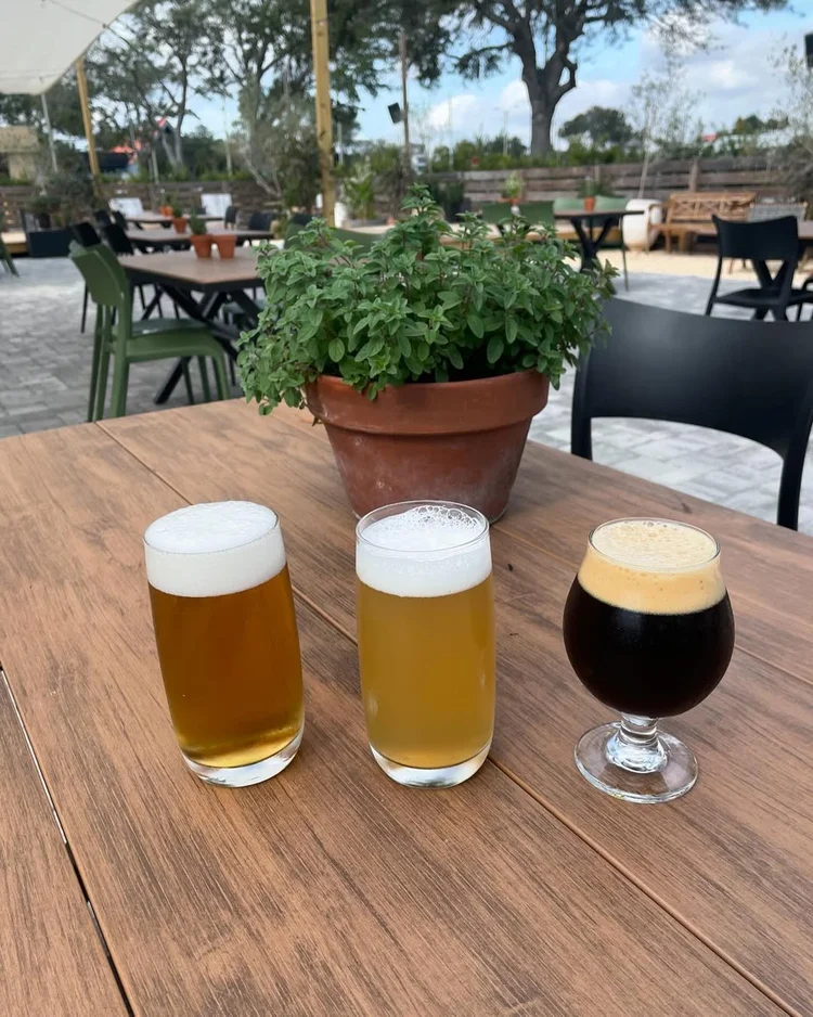 Runabout Brewing Co.